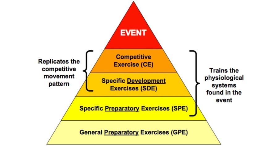 Exercise Selection & Classification - Flex Affect